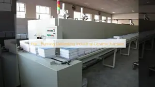Industrial Ceramic Debinding Furnace
