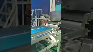AI Belt-Type Color Sorter for Basil