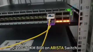 100G BIDI 80KM on Arista and Hauwei switch