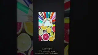 High-performance 2.95-inch LCD TFT screen with IPS