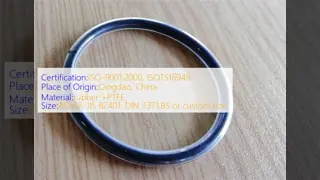 PTFE Encapsulated O Rings Aging Resistance