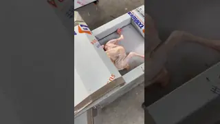 Meat Cutting Machine