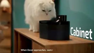 Wholesale Pet Water Fountain, Cordless, Multi-Filter, Large Capacity, Factory Direct Bulk Demo