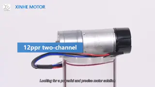 25mm Gearbox Motor Power Solutions