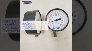 Ammonia Pressure Gauge 100mm 150 300psi NPT