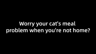 Smart Pet Feeder
