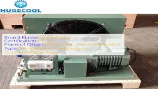 2HP Cold Storage Condensing Unit for Sale