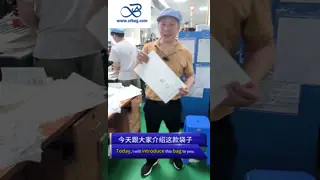 Biodegradable Custom Printed Glassine Paper Bags with Self Adhesive Seal for Eco-Friendly Packaging