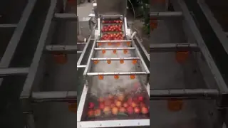 Vegetable cleaning machine