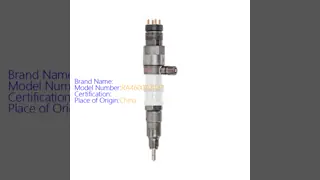 Diesel Injector DD13 RA4600701187 Power Up