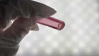 Morgan Pink Sapphire Crystal