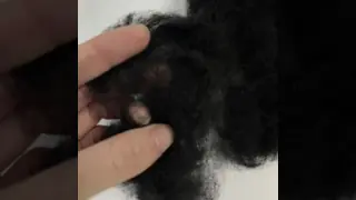 Black Recycled Flame Retardant Polyester Fiber 12D×64mm