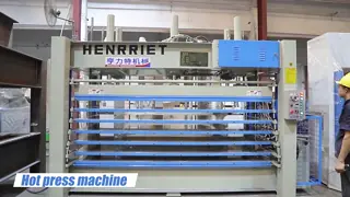 Henrriet multi-layer automatic lifting hot press machine