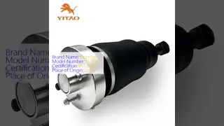 Air Suspension Strut For Lincoln Navigator Ford Expedition