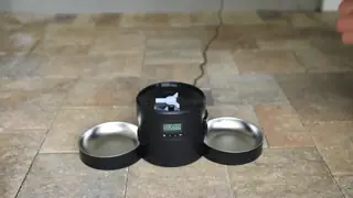 OEM Smart Automatic Pet Feeder WiFi App 6L Large Capacity Voice Recorder Bulk Wholesale Showcase