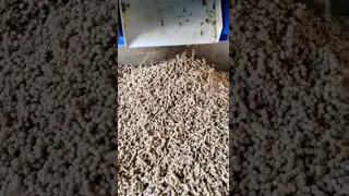 Feed Food Extruder Machine