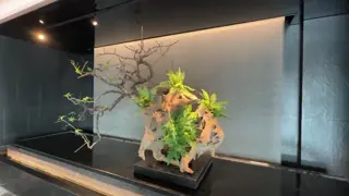 Stainless Steel Water Curtain Elegant Modern Design