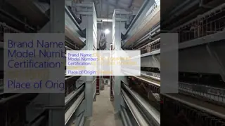 Automatic Layer Cages Boost Farm Profit