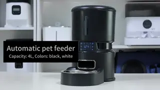 Automatic Pet Feeder 6L WiFi APP Timed Feeding Anti-Jam BPA-Free for Cats & Small Dogs Showcase