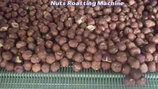 The video of roasting hazelnuts is here!!! The temperature is adjustable at any time#machine #roast