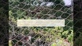 Durable Stainless Steel Wire Mesh Garden Fence