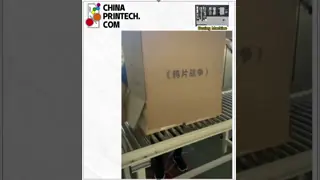Carton Boxing Machine