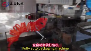 Automatic Packing Machine for Pharmaceutical Bottles