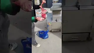 bone crusher machine for animal bone