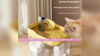 smart pet water dispenser
