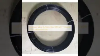 Steel Cable Lanyard Safety Hook