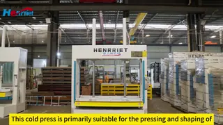 Henrreit dual cylinder cold press machine