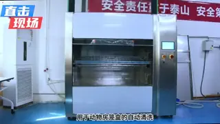 Cage washing machine for animal laboratory, washing of IVC cage boxes for mice and rats
