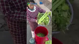 Vegetable Chopping Machine Fast & Easy
