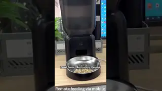 Automatic Cat Feeder Bulk Wholesale Smart Pet Feeder WiFi App Control Portion Control Food Dispenser