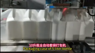 10L Fully auto packaging machine