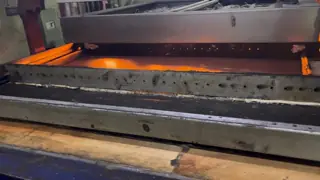 plastic tray