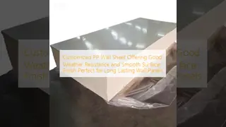 Custom PP Wall Sheet Weatherproof Durable