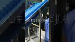 Chili roasting machine