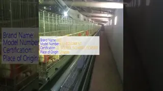 Heavy Duty Poultry Cages Maximize Farm Yield