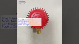 Gas Pressure Gauge 0.6MPa Red Case