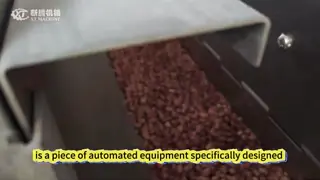 How to make perfect roasted peanut—300kg/h#machine #food #peanut #factory#roaster