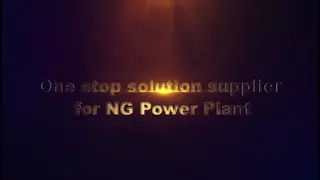 Natural Gas Generator set