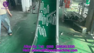 2186 E3 Ukraine Plastic Bottle Belt Conveyor