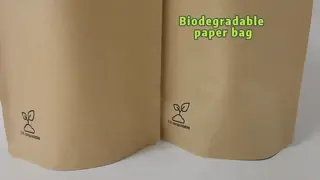 Eco Friendly Stand Up Pouch Bag Packaging