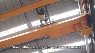 Double Girder Overhead Crane with Hoist