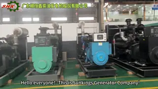 Custom Diesel Generator Quiet Power