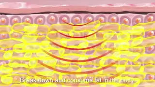 EMS Slimming Machine Body Sculpting Salon Treatment