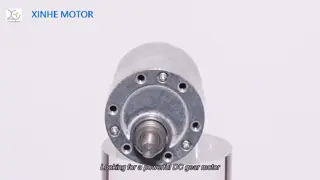High Torque DC Gear Motor for Robots & Locks