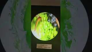 5.0 Inch TFT LCD Display