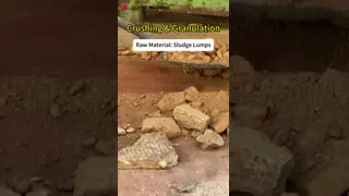 Complete Process: Vertical Crushing + Extrusion Granulation for Sludge